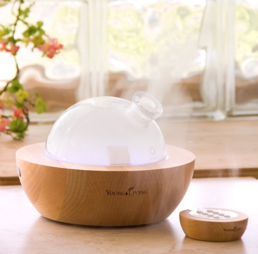 My Oilly Home – How I use Essential Oils to Promote a Healthier Home